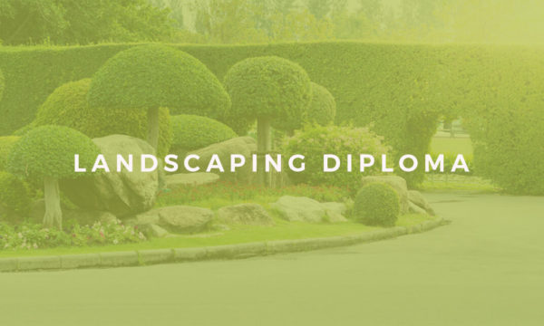 Level 3 Diploma in Landscaping | Alpha Academy