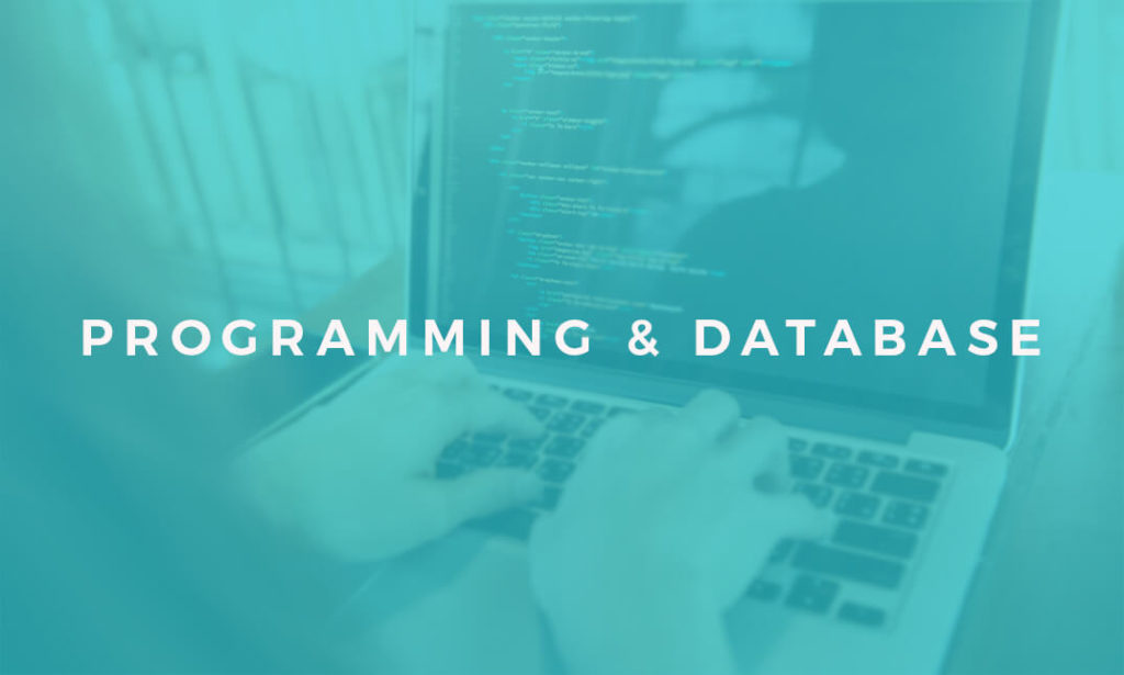 Programming and Database Diploma Level 3 | Alpha Academy