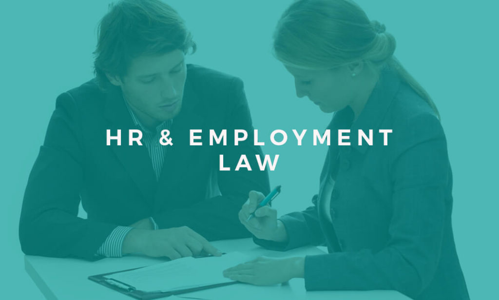 HR & Employment Law for Beginners | Alpha Academy