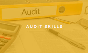 Internal Audit Skills Training