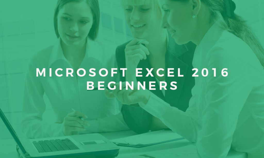 Microsoft Office 2016 Excel Beginners - Online Video Training | Alpha ...