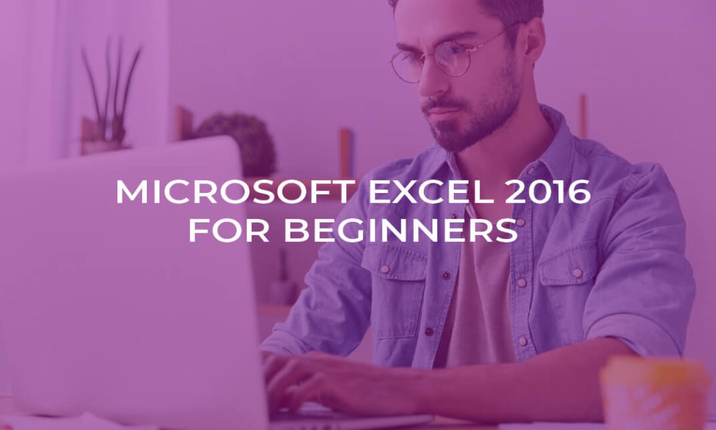 Microsoft Excel 2016 Beginners Level | Alpha Academy
