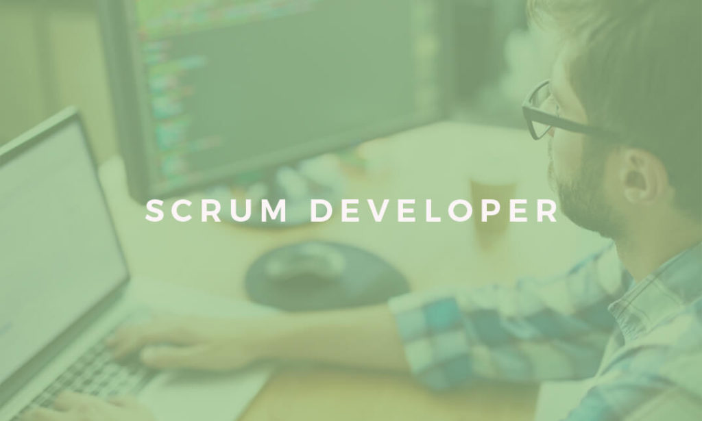 Professional Diploma in Scrum Developer | Alpha Academy