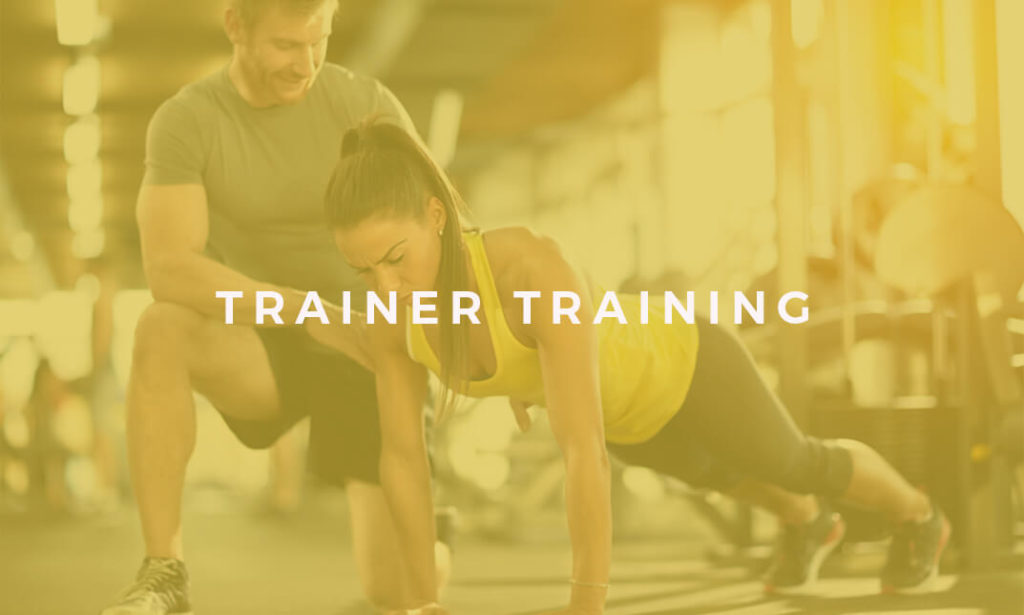 Professional Trainer Training Diploma | Alpha Academy