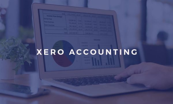 Xero Accounting and Bookkeeping Training Course- Alpha Academy