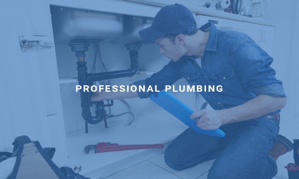 Professional Plumbing | Alpha Academy